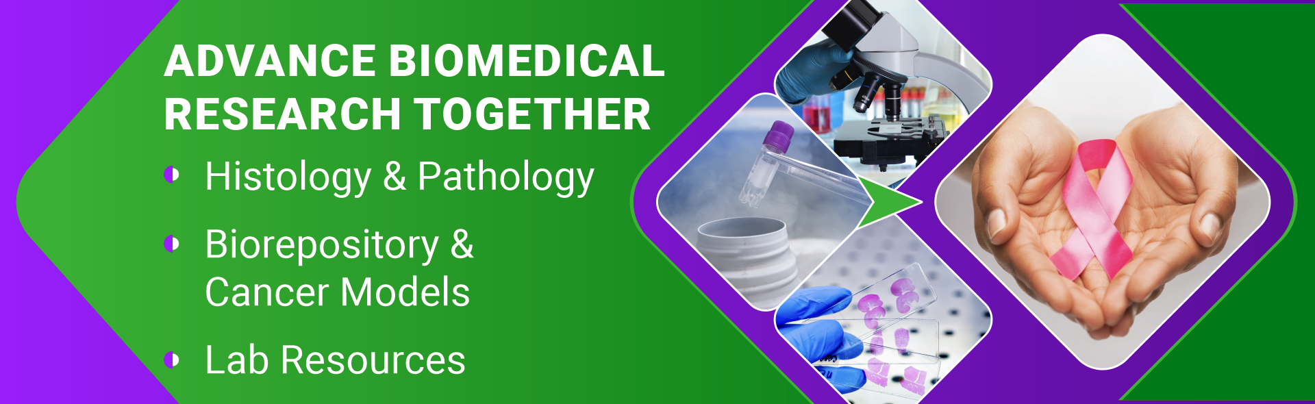 Home - HistoSpring - Full-Service Histology, Data-Rich Biorepository ...