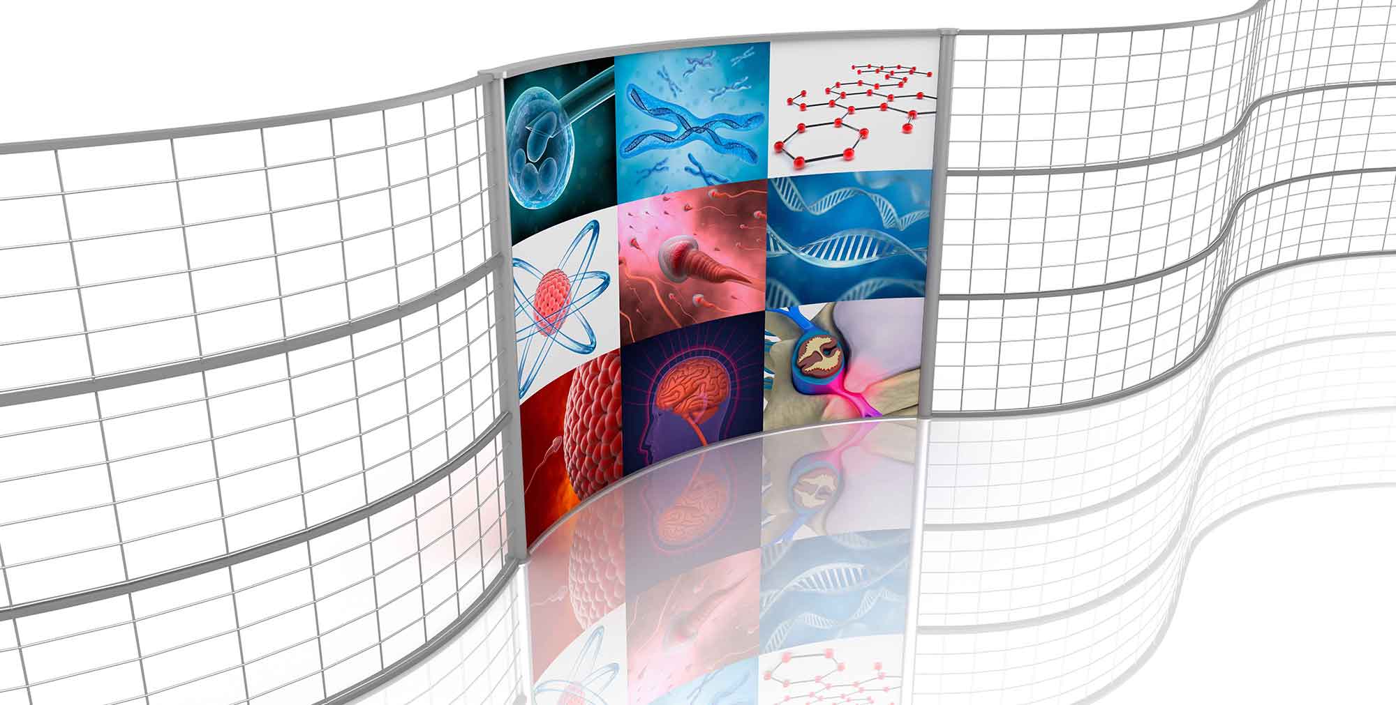 Library-page - HistoSpring gene expression in normal breast tissue, molecular changes in breast ...