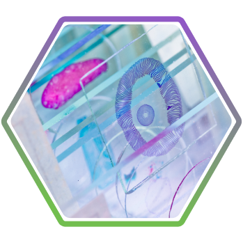 Home - HistoSpring - Full-Service Histology, Data-Rich Biorepository ...