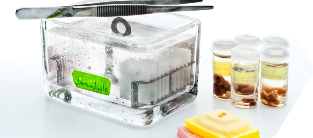 Histology Solutions - HistoSpring Routine Histology, Histology Services ...