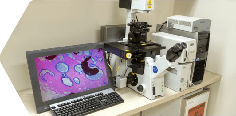 Histology Lab Resources - HistoSpring Life Science Lab and Bench Space ...